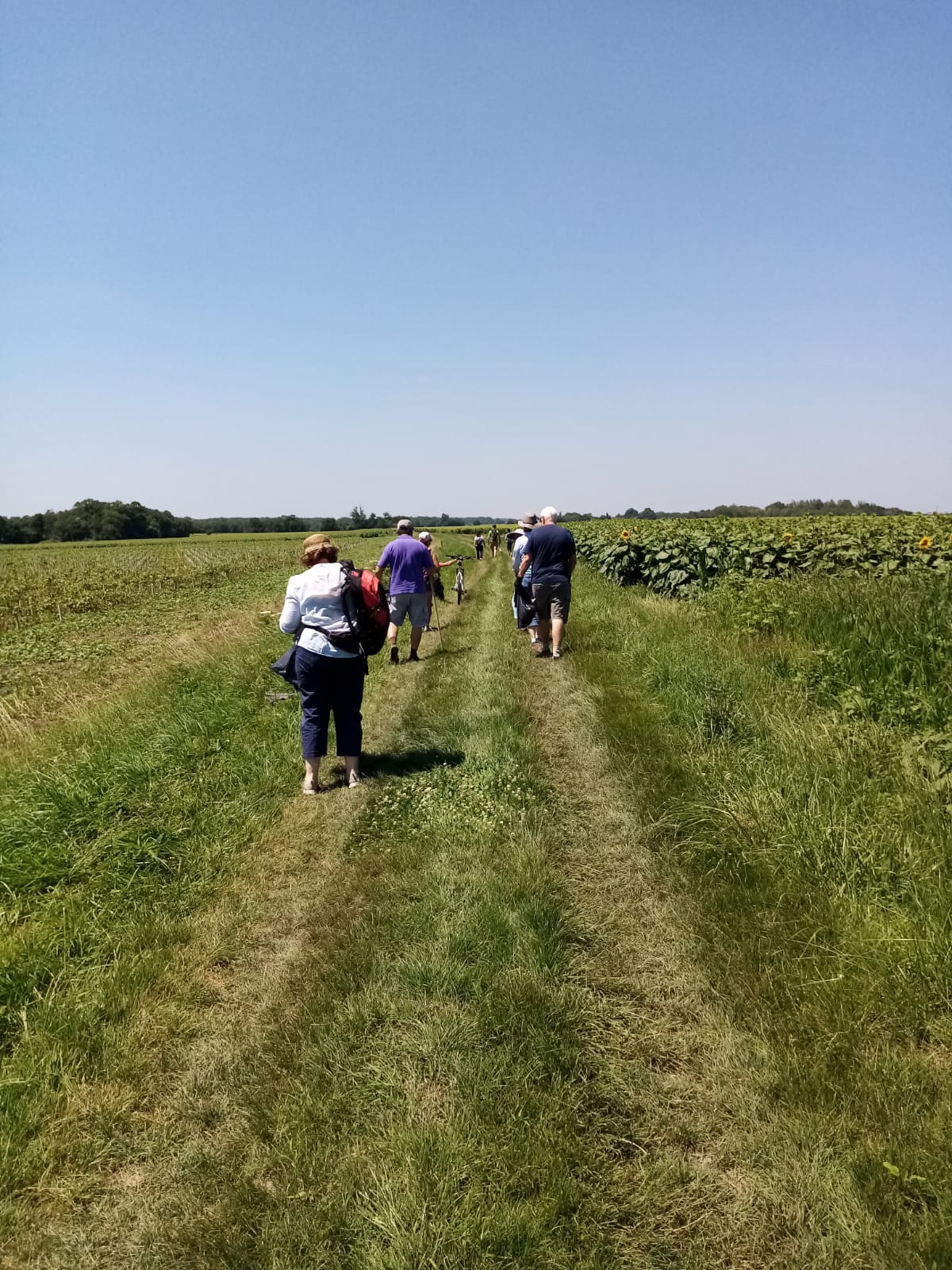 Niveau de Sécurité PREDICT